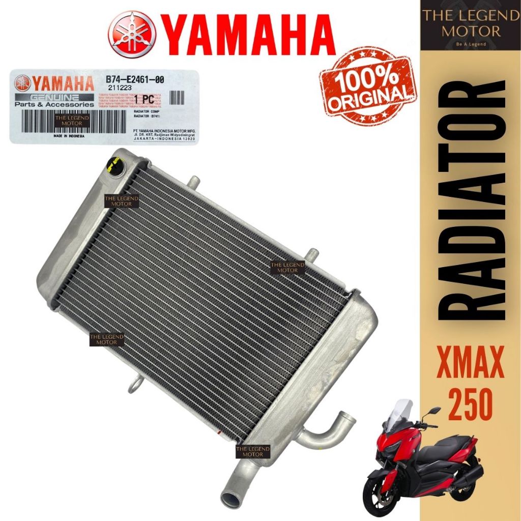 XMAX250 X MAX XMAX 250 X-MAX Radiator Coolant Tank Tanki Air Radiater ...