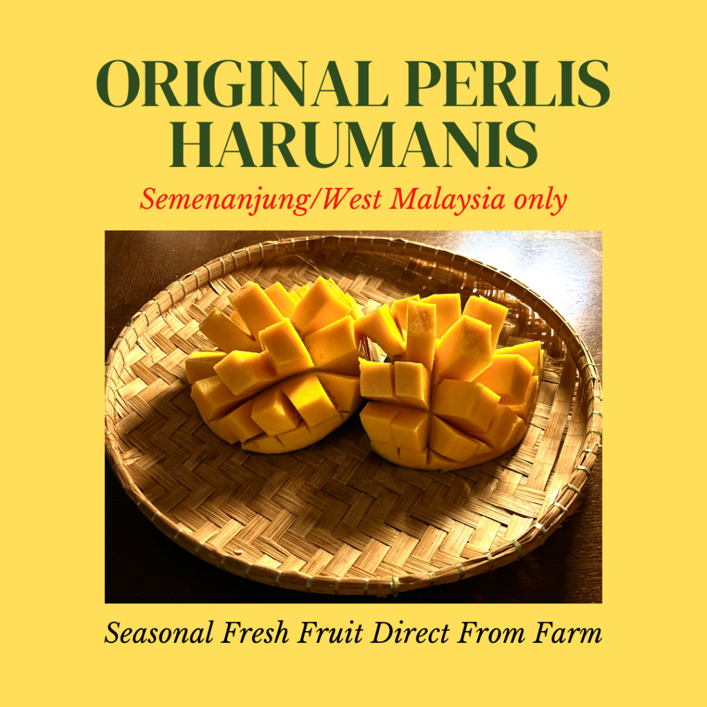 Harumanis Perlis Mango (Grade A & AAA) | Shopee Malaysia