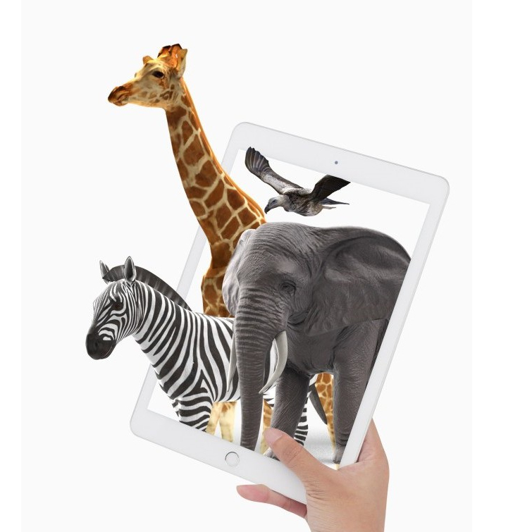 Octagon Studio Wildlife Wonders: Explore The Animal 4D+ Flashcards App ...