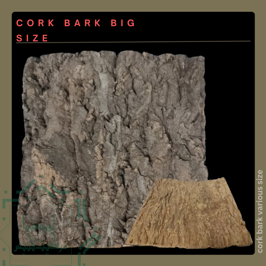 Cork Bark Oak Tree Bark For Terrarium Reptiles Insect Pets And Plant ...