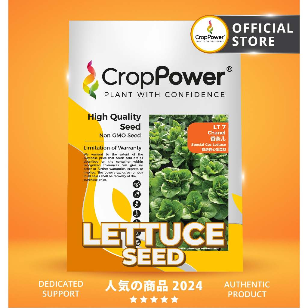 (10 GRAM) Biji Benih Sayur Salad Chanel 香奈兒 LT7 CROP POWER Cos Lettuce ...