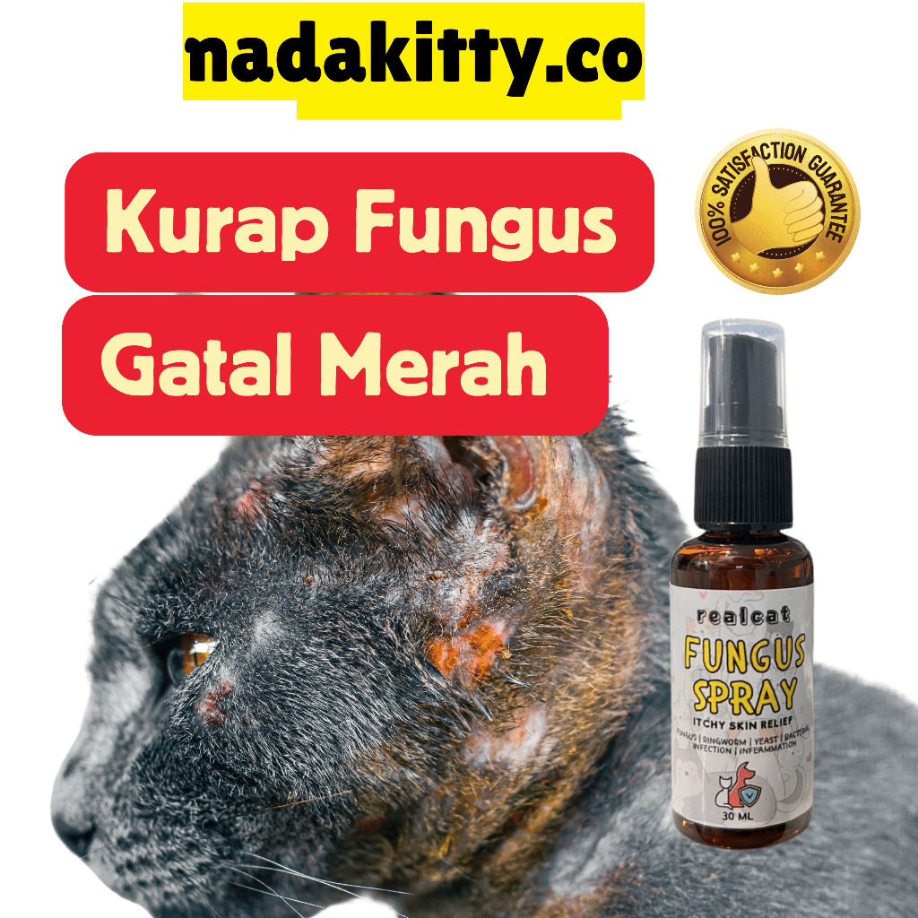 Spray Kurap Fungus Ringworm Gatal Scabies Kucing Anjing 30ml | Shopee ...