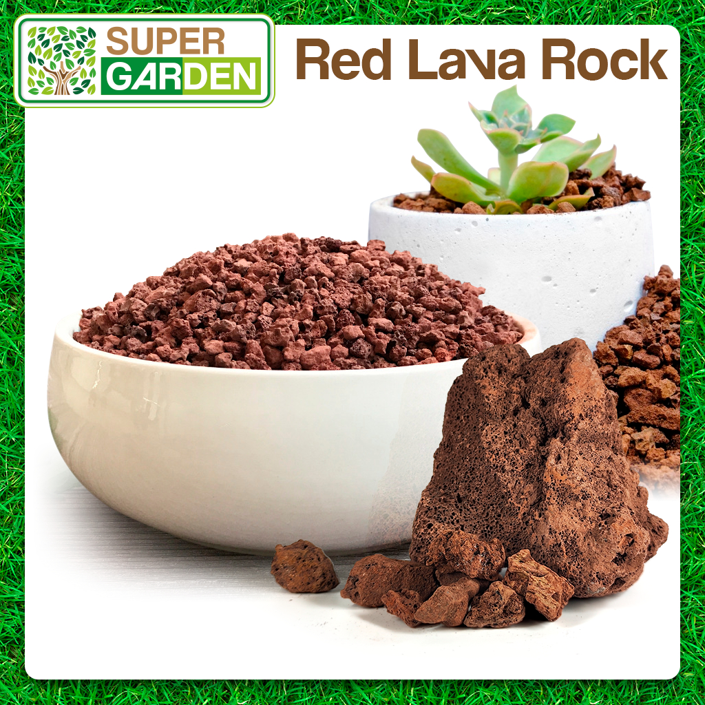 Red Lava Rock/Bio Filter Media Succulent Volcano Stone/Lava Rock Pasir ...