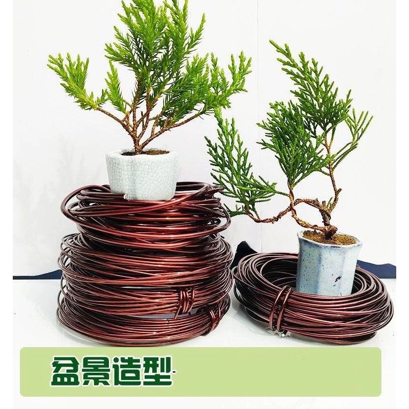 100g/500g/1KG. BRONZE COLOR ALUMINIUM BONSAI GARDENING WIRE DAWAI ...