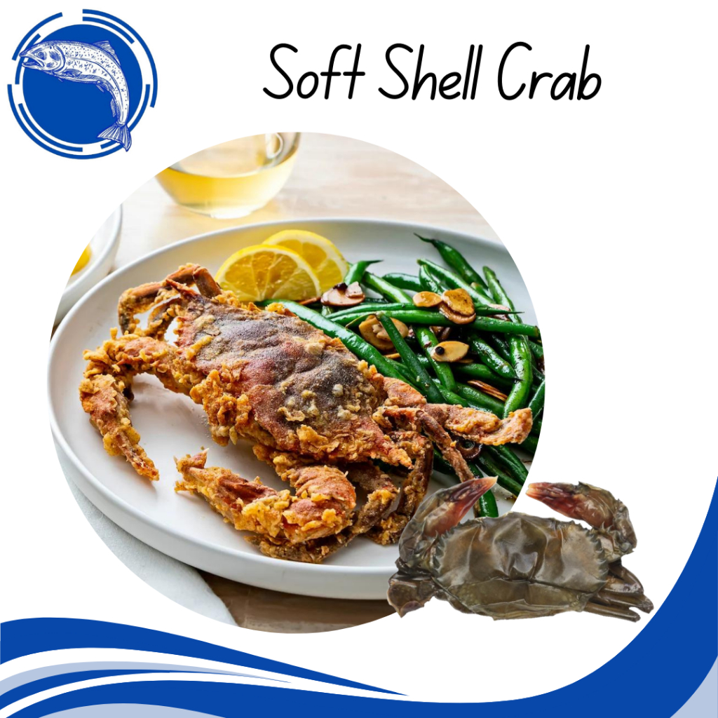 🔥New 🔥Premium Soft Shell Crab / Ketam Kulit Lembut / 软壳蟹 [ 1KG/Pack ...
