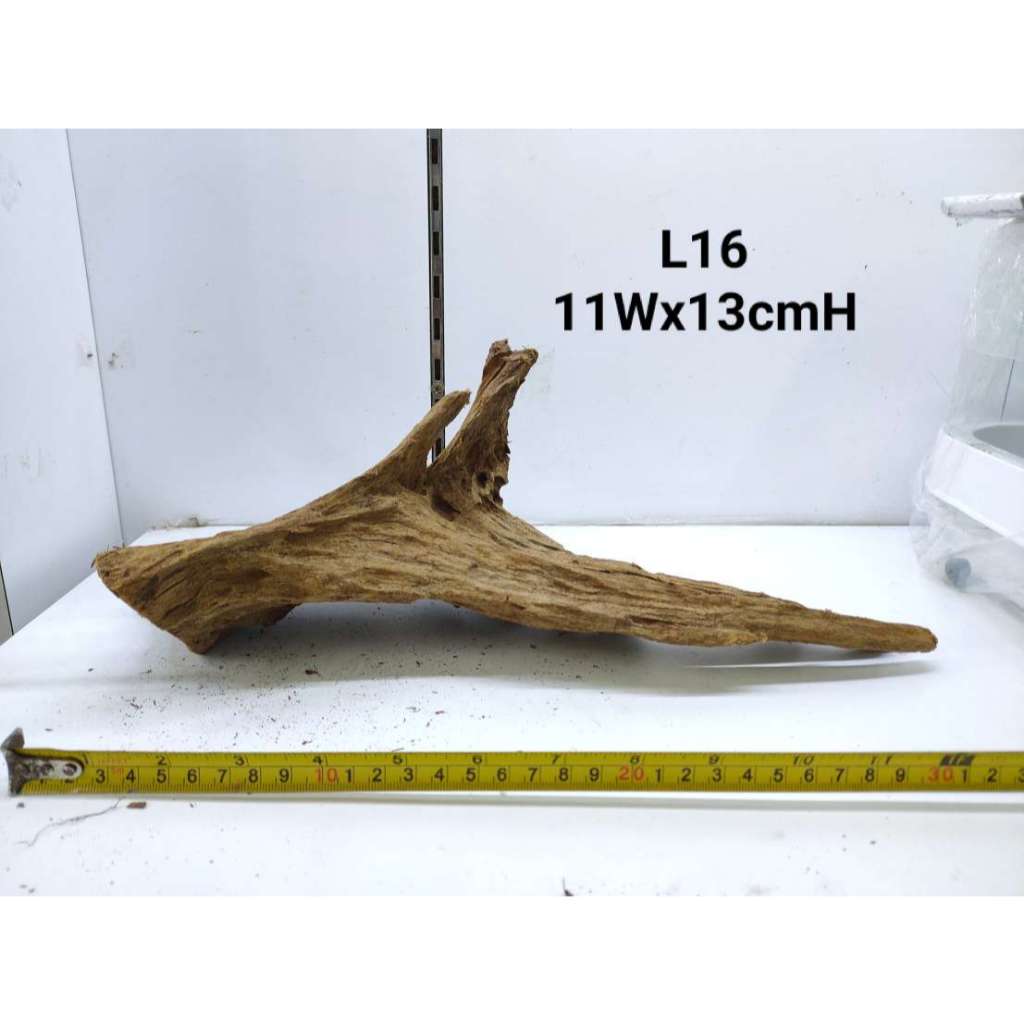 Driftwood Aquascape Wood Mangrove Moos Wood Kayu Aquarium [L Size ...