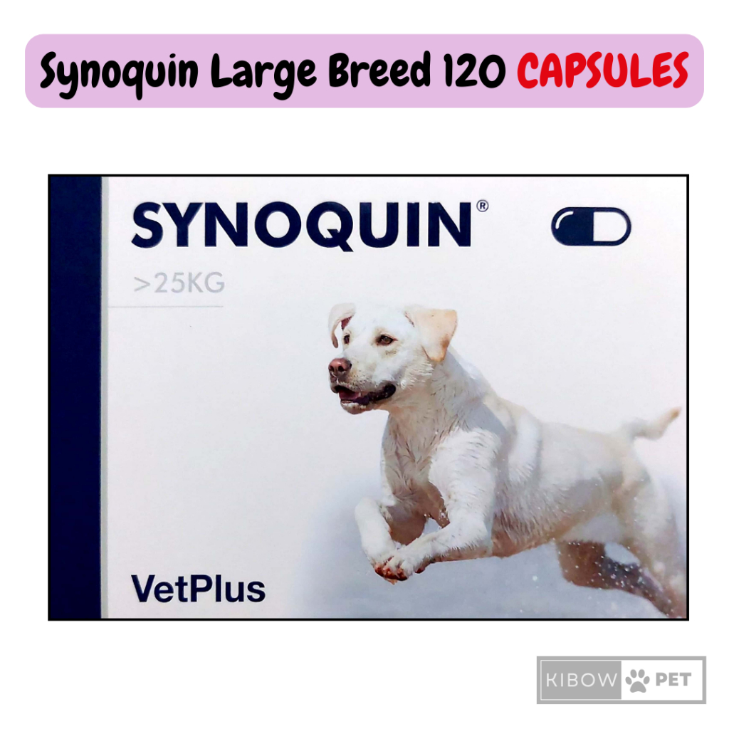 Synoquin Large Breed Dog (120x 1.1g CAPSULES) | Shopee Malaysia