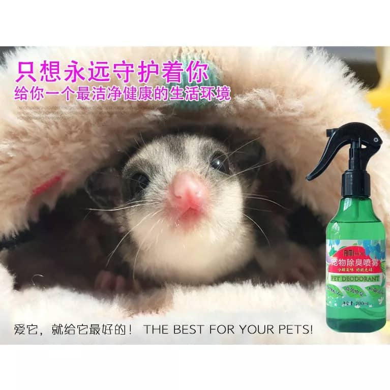 Sugar Glider Deodorant Spray/ Pet Deodorant Spray/Small Animal ...