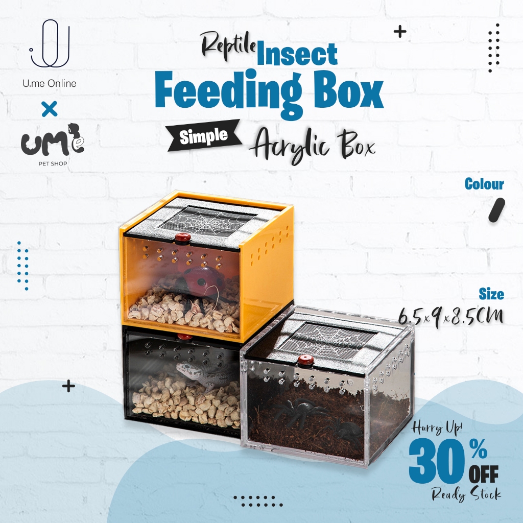 Ume Pet Insect Feeding Box Climbing Pet Spider Scorpion Beetle Insect ...