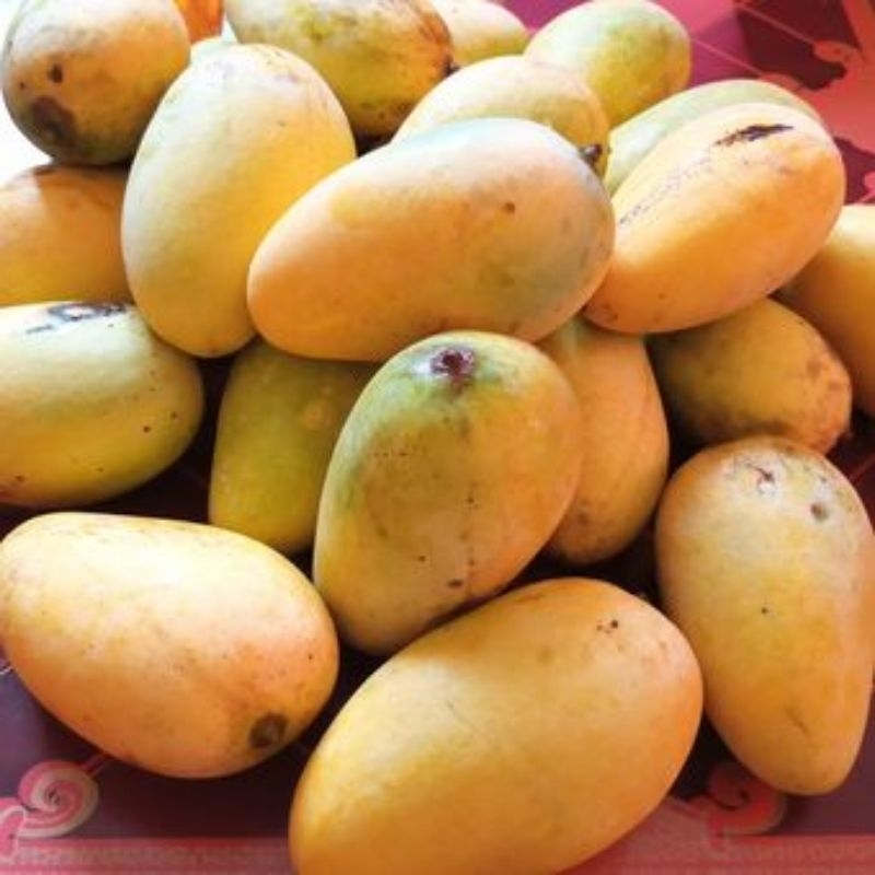 1kg Mangga Chokanan / 1kg Pauh Che Ana | Shopee Malaysia