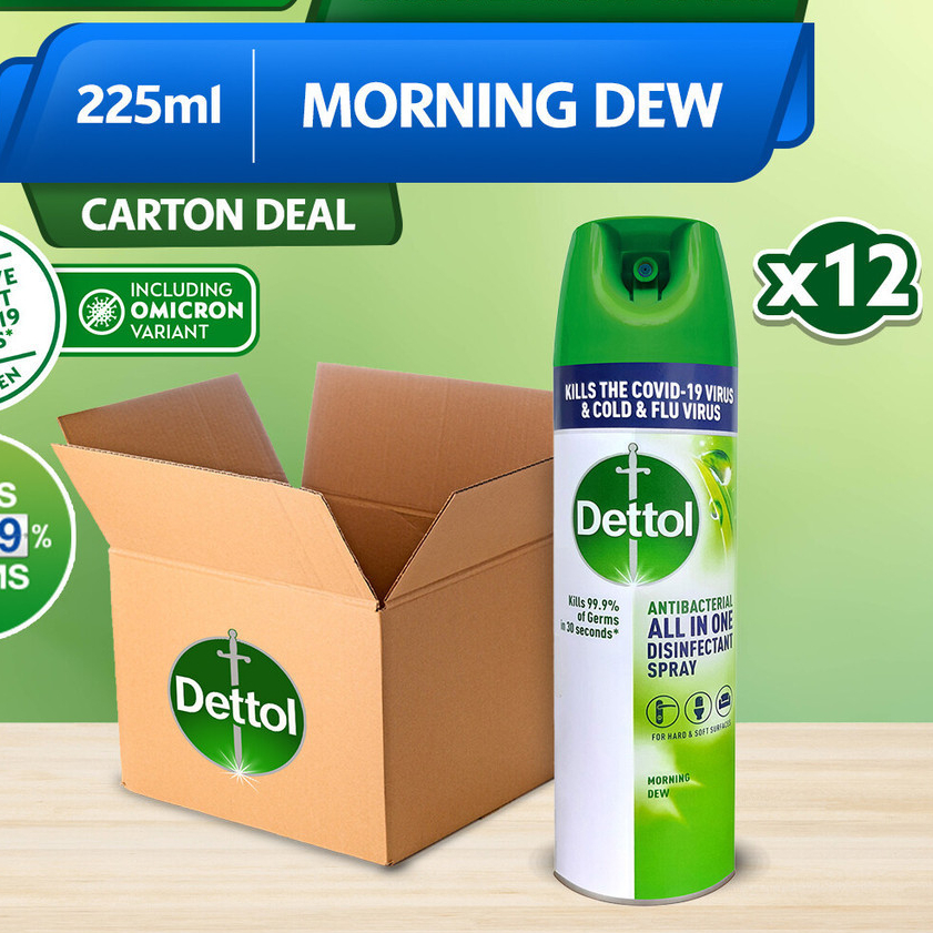(Carton Sale) Dettol Antibacterial Disinfectant Spray Morning Dew 225ml ...