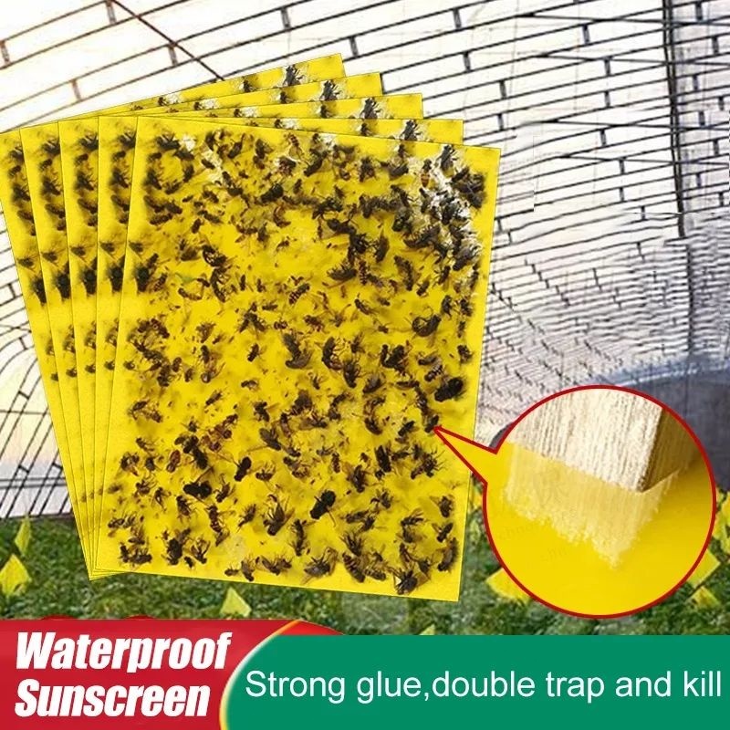 Pelekat serangga Double-Sides Yellow Sticky Trap Flies Trap Insect ...
