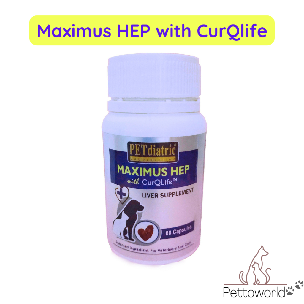 Maximus HEP with CurQLife Liver Supplement (60 CAPSULES) | Shopee Malaysia
