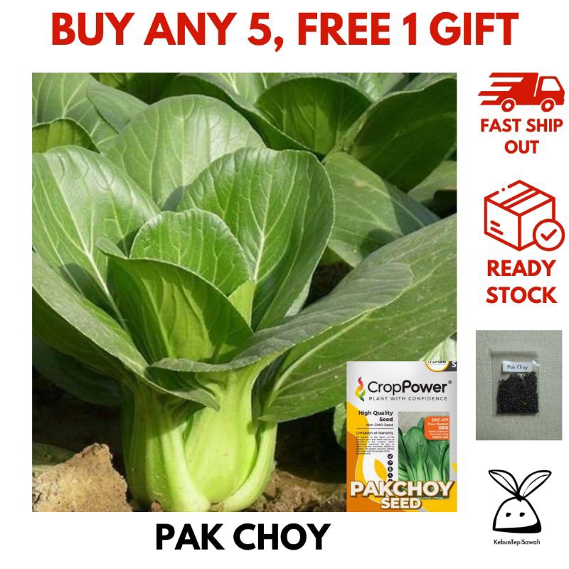 Biji Benih Sawi Jepun Four Season DPC477 CROP POWER- Dwarf Pak Choy ...