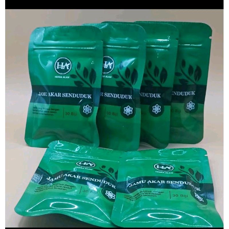 original Combo 6 pek Jamu Akar Senduduk - HQ Herba set 6pek | Shopee ...