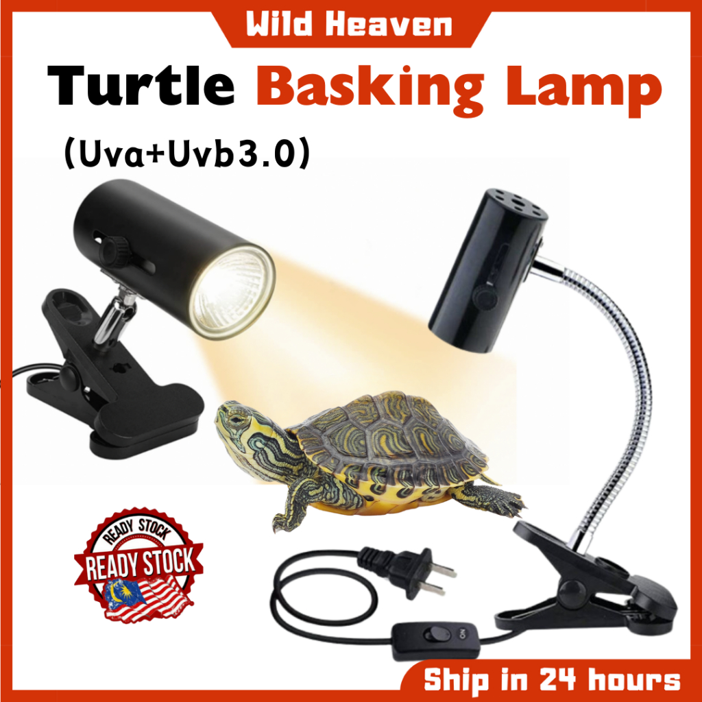 Reptile UVA UVB 3.0 Bulb Heat Light Holder Tortoise Turtle Basking（三合一陆龟晒背加热）Lampu Kura | Shopee ...