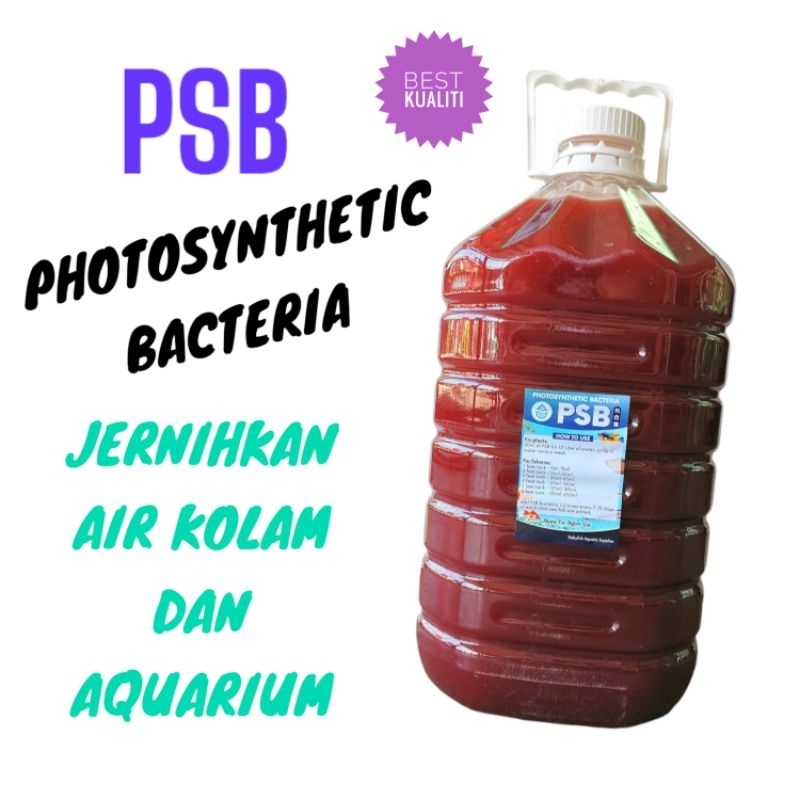 PSB BAKTERIA FOTOSINTETIK AKUARIUM 5L PERCUMA 30ML CAWAN | Shopee Malaysia