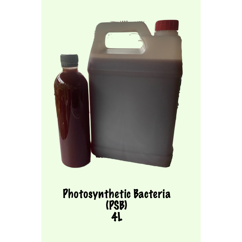 PSB Photosynthetic Bacteria Jernikan Air Akuarium dan Baja Tumbuhan 4L ...