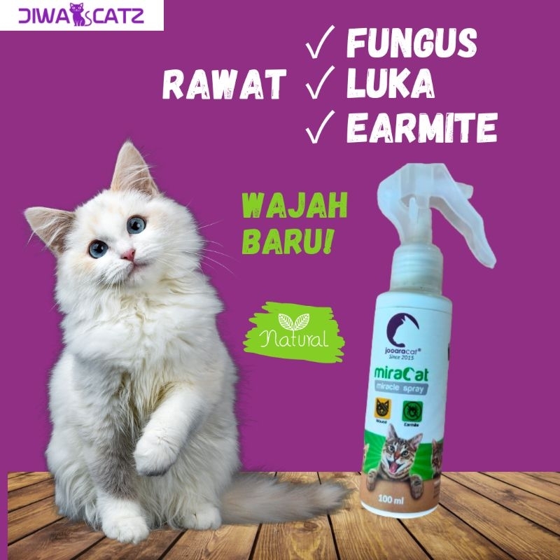 Rawat masalah kulit kucing | Miracat spray kucing (fungus luka earmite ...