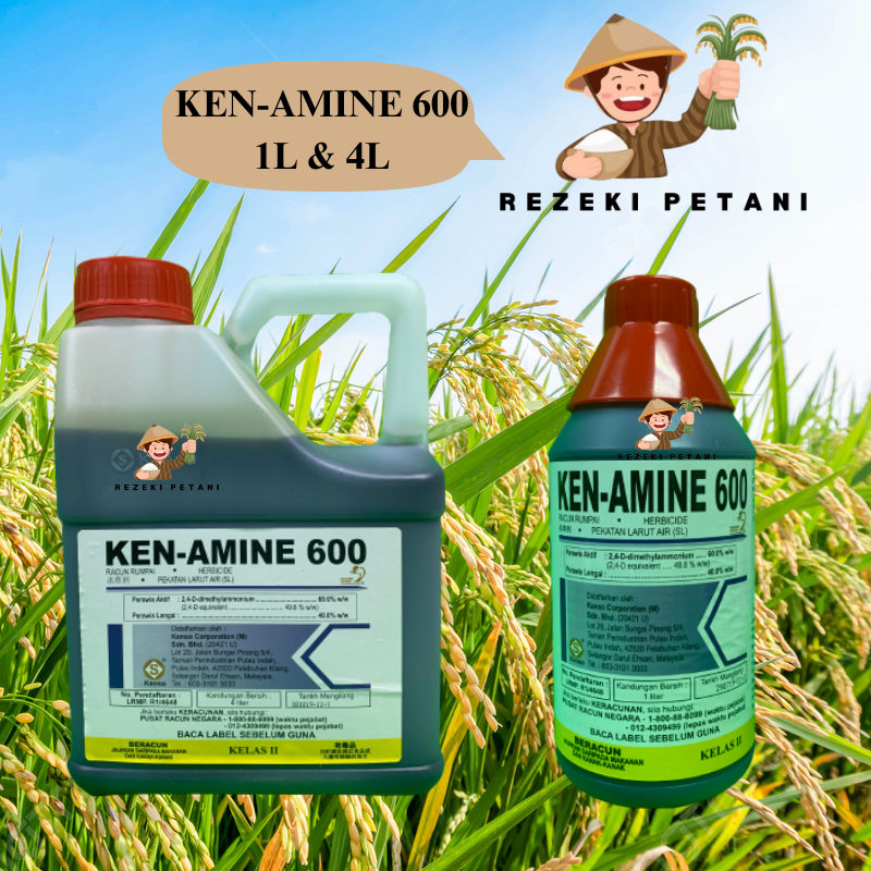 [ORIGINAL] 1L 4L KEN-AMINE 600 Racun Rumput/RACUN RUMPAI/Racun Serap ...