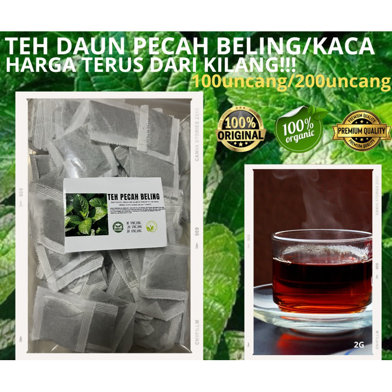 TEH DAUN PECAH BELING/KACA ORI 100% DARI POKOK PECAH BELING/KACA ...