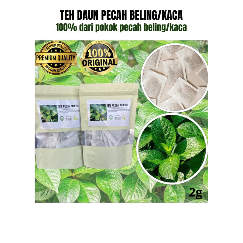 TEA DAUN PECAH BELING/KACA (2g) 100% DARI TUMBUHAN PECAH BELING ...