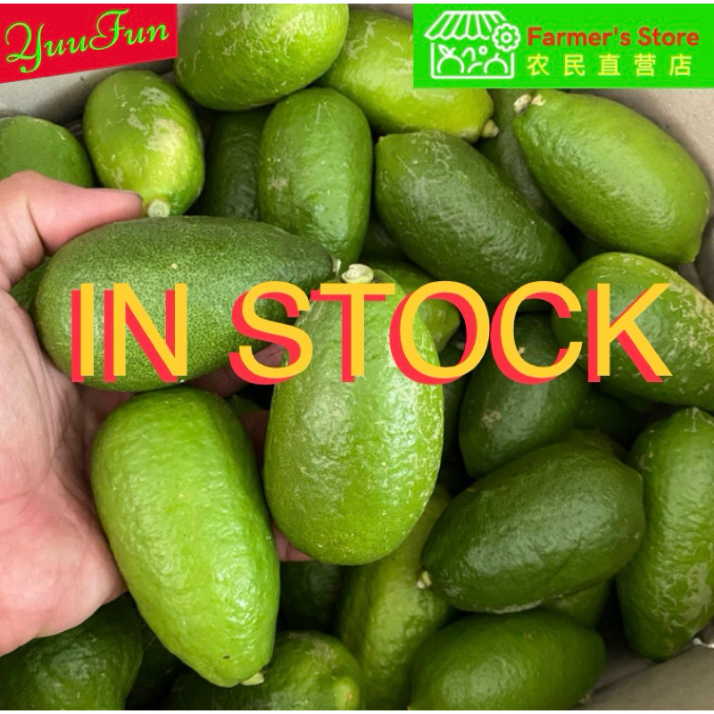 Fresh Green Lemon *Grade A Limao Telur Buaya 香水柠檬 / 新鲜 青柠檬 1kg Direct ...