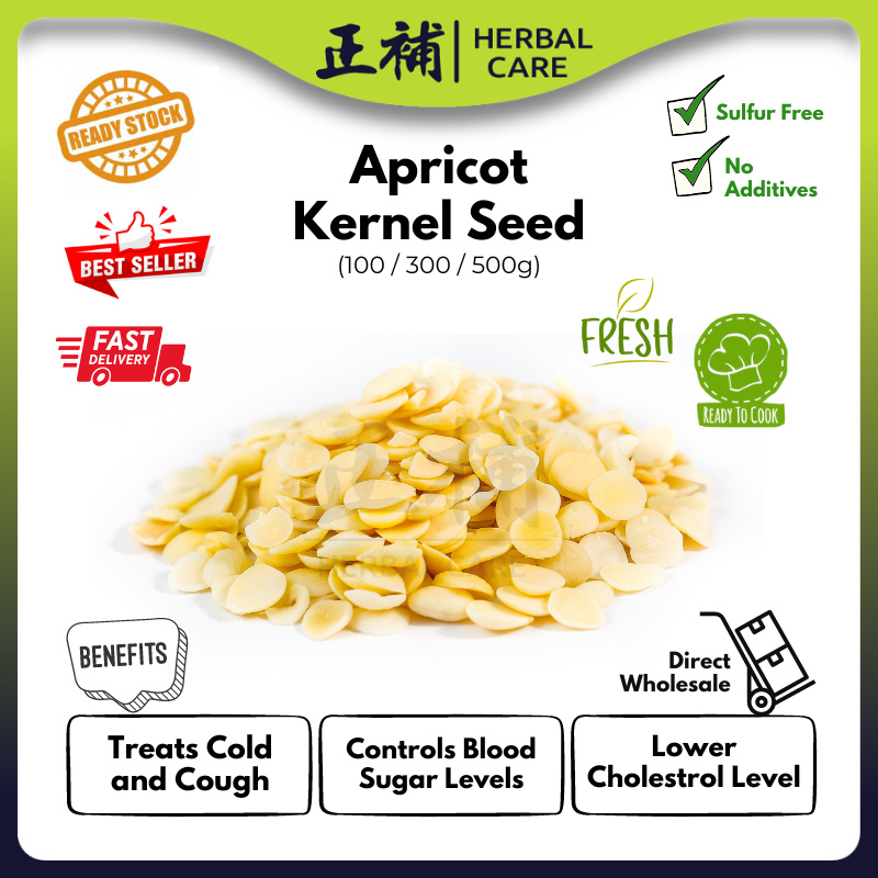 Apricot Kernel Seed 南杏仁 北杏仁 南北杏 Biji Apricot Southern Northern 南杏 北杏 ...
