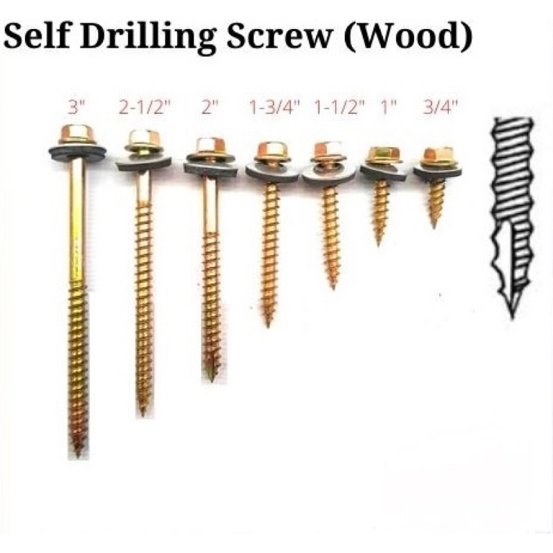 (10Pcs) [Wood] Hex Head Self Drilling Roof and Awning Screw for Wood ...