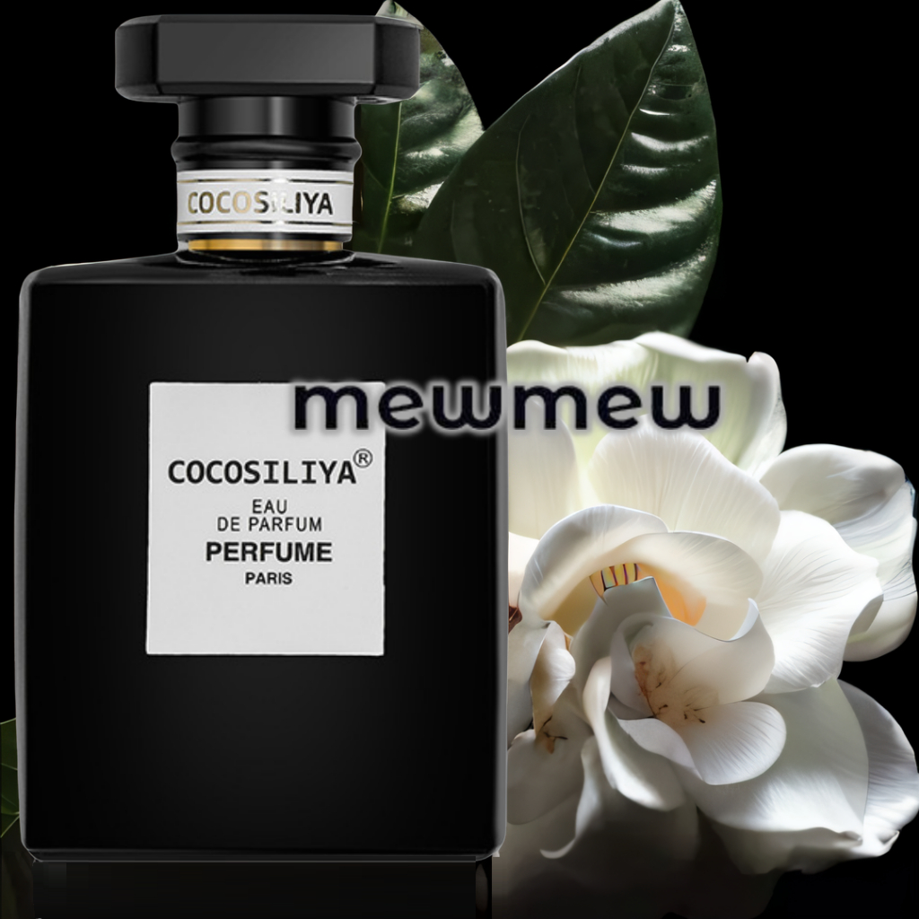 COCO SILIYA 💖Black Noir Eau De Parfum EDP 50ml For Women Warm Spicy ...