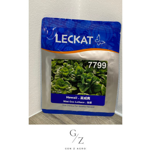(2g / 5g / 20g) 7799 Hawaii Mini Cos Lettuce / Salad Kecil / 生菜 ...