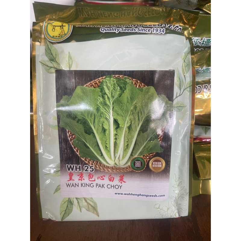 WH25 WAN KING PAK CHOY (500GRAM) | Shopee Malaysia