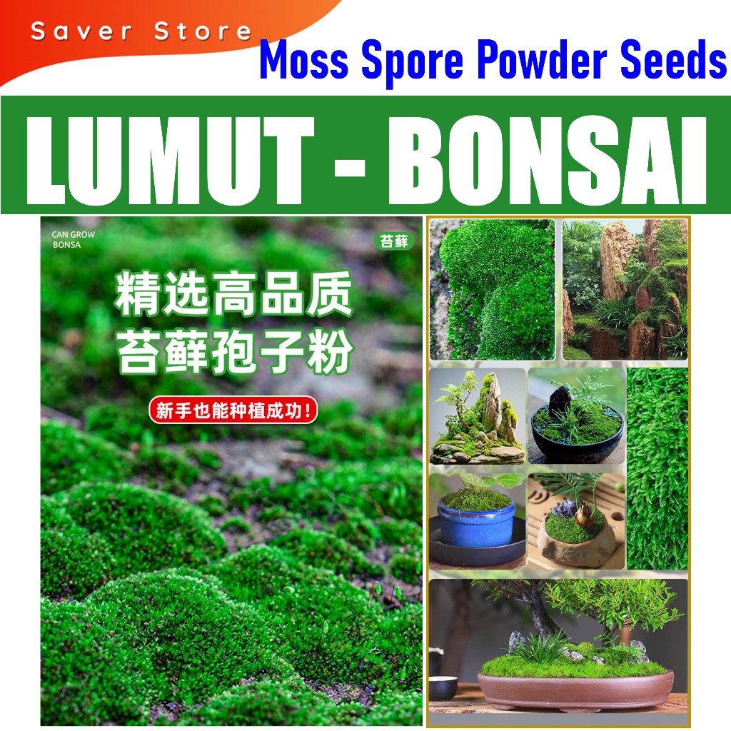 Premium Moss Spore Powder Seeds - Create Beautiful Landscapes Bryophyte ...