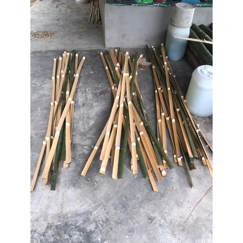 Buluh Pancang 6kaki (183cm) dan 3kaki (92cm)/Buluh Pancang Pokok ...