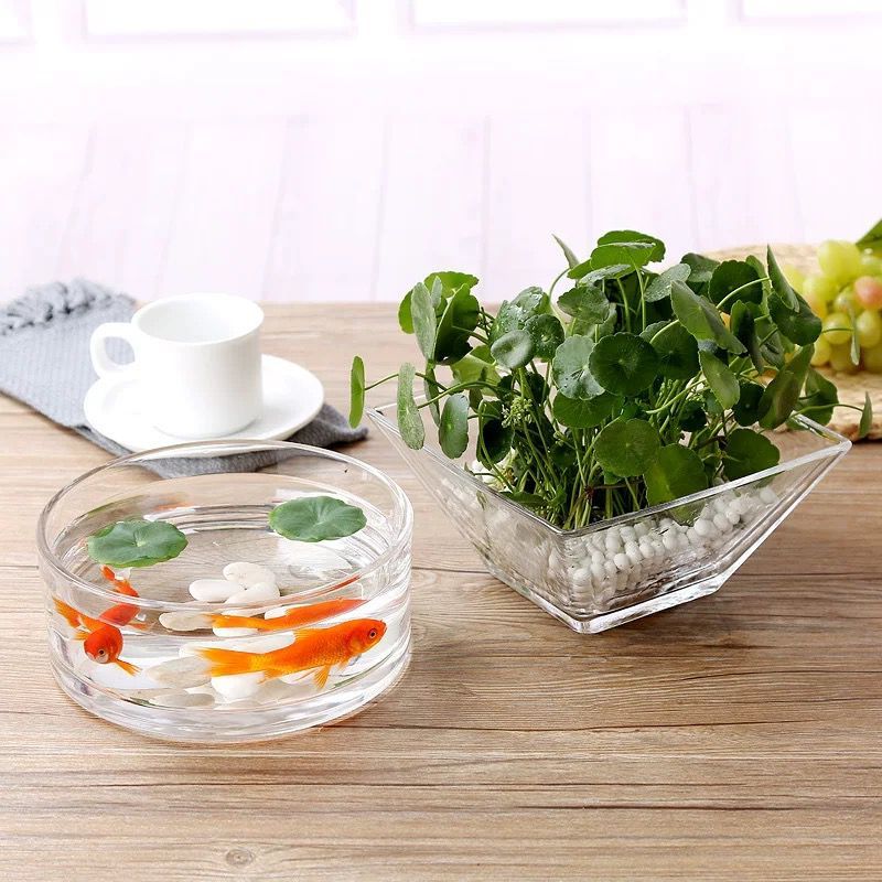 Glass Pot. Modern Minimalist Short Cylinder Glass Vase Plant ...