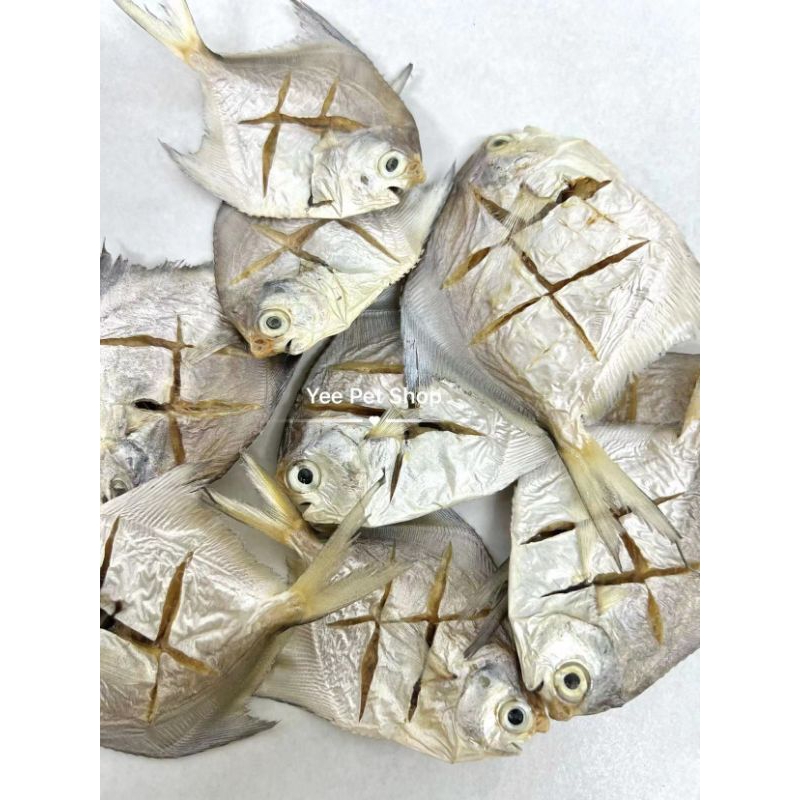 Homemade Dehydrated Pomfret ｜ Air-Dried Pomfret ｜Pet Snack | Cat Snack ...