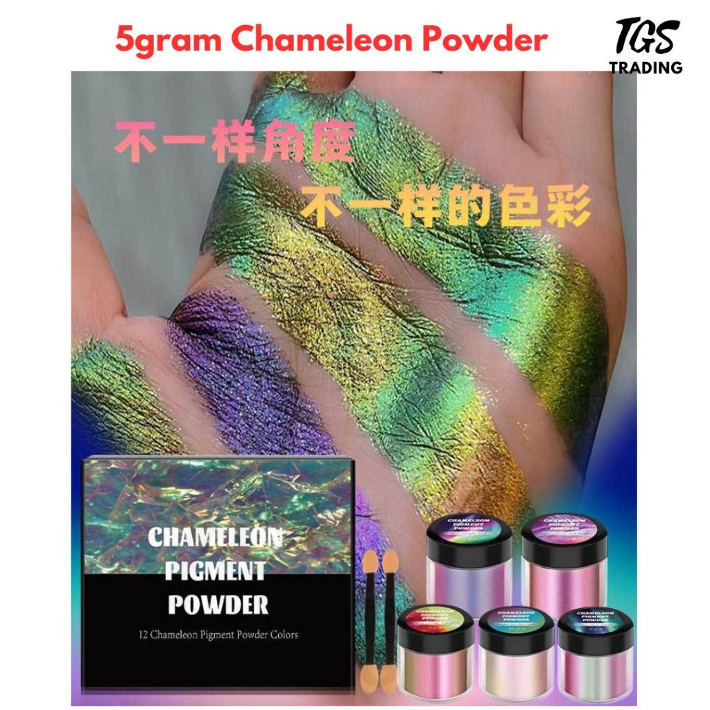 TGS 5gram Mirror Chameleon Pearl Powder Pigment DIY Epoxy Resin ...