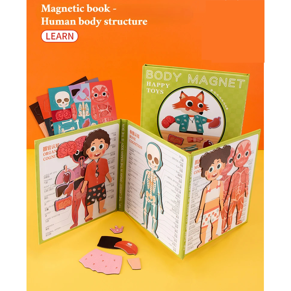 Body Magnet Book Folding Human Body Structure Puzzle Children's ...