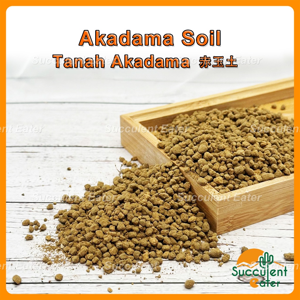 Akadama Soil 1L Tanah for Bonsai Succulent Cactus Kaktus Soil Plant ...
