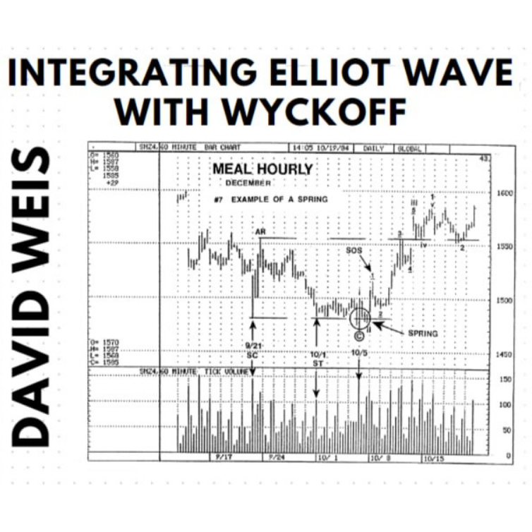 David Weis - Integrating Elliot Wave with Wyckoff ( MP3s & PDF ...