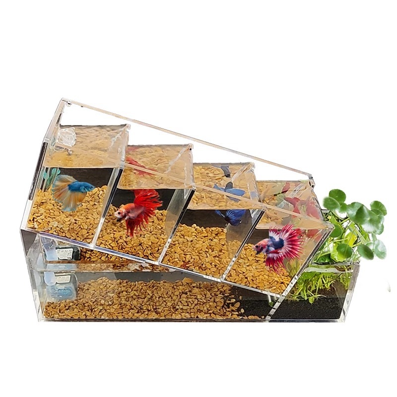 (4in1) Betta Fish Tank Acrylic Materials | Shopee Malaysia