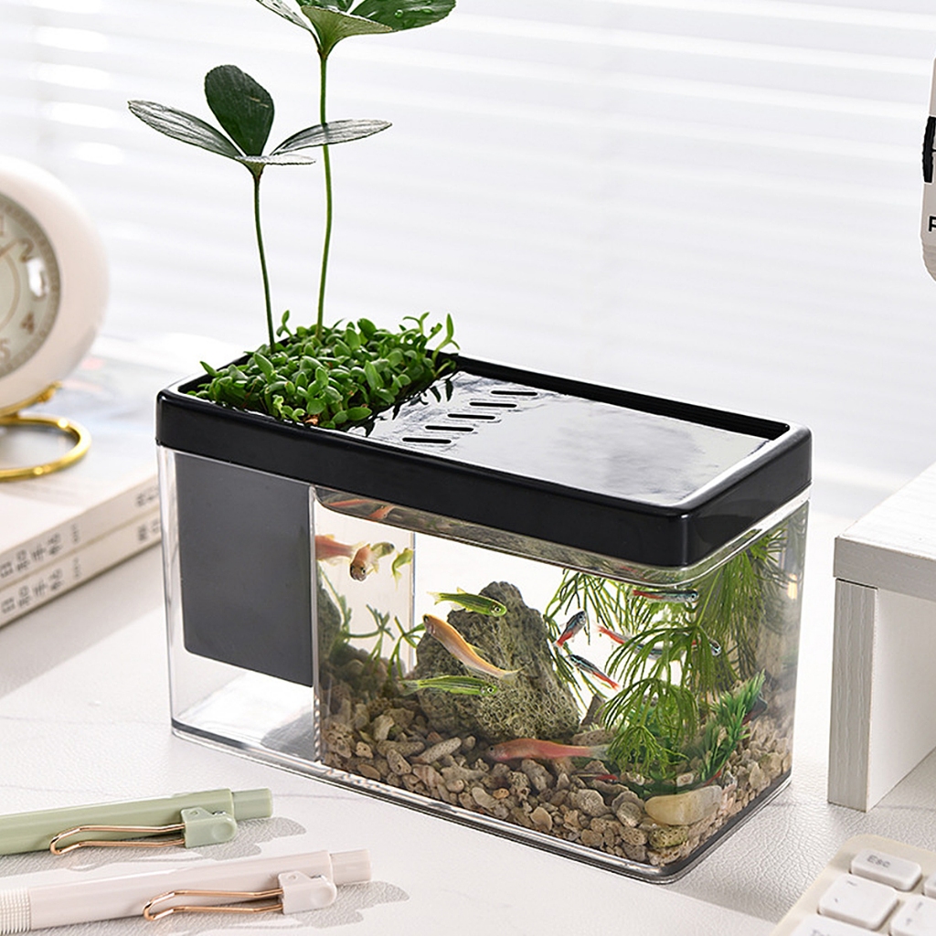 Portable Plastic Fish Tank Aquarium Betta Guppy Sea Turtle Small Turtle ...