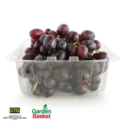 CTG Spain Moyca Candy Dream Grapes 500G Per Punnet - [Sweet] [SEASONAL ...