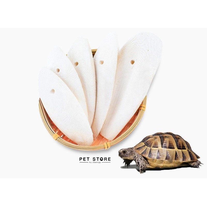 Cuttlefish Bone Reptile Tortoise Turtle Isopod Calcium Supplement ...