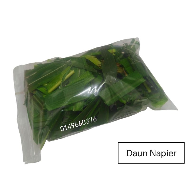 keratan batang napier segar (sebatang 70sen)/ daun napier 250g rm2 ...