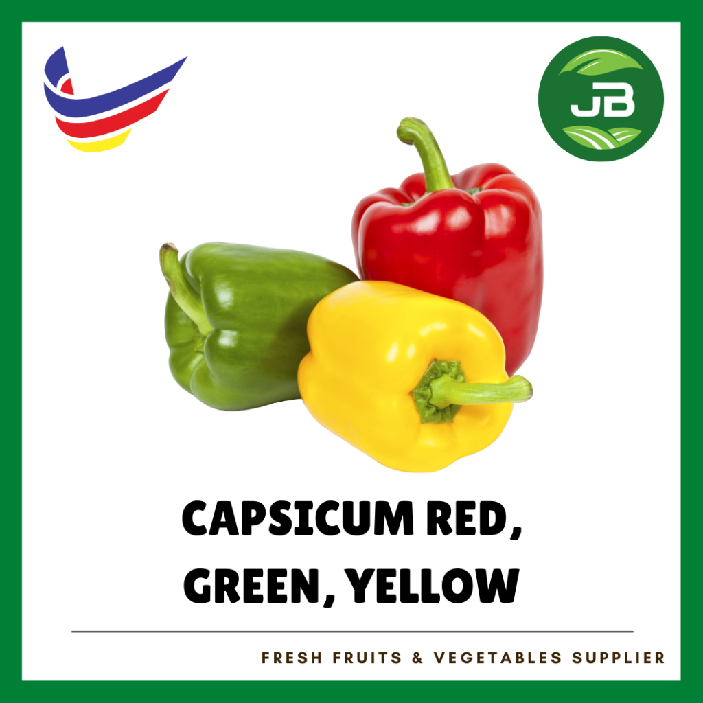 Capsicum 灯笼椒 (Red,Green,Yellow) - Cameron Highland | Shopee Malaysia