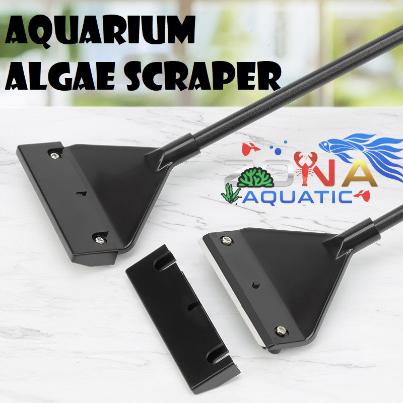 READY STOCK | STAINLESS STEEL ALGAE SCRAPER AQUARIUM CLASS CLEANER FISH ...