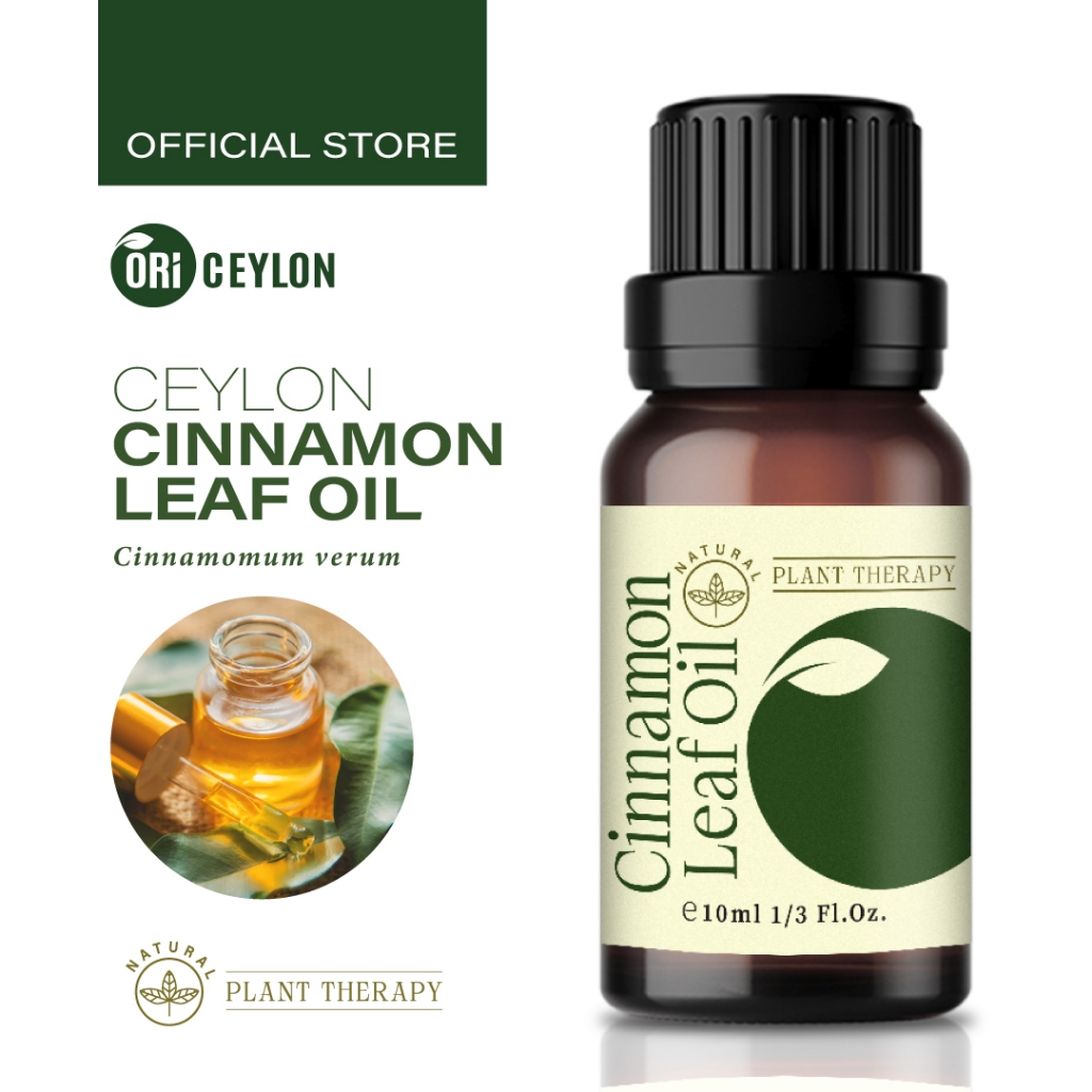 Cinnamon Leaf Essential Oil – 100% Pure and Natural – Therapeutic Grade ...