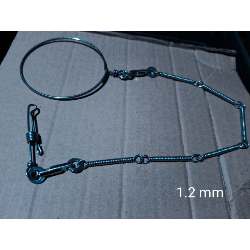 Parrot chain leg(saiz burung kecil dan sederhana) | Shopee Malaysia