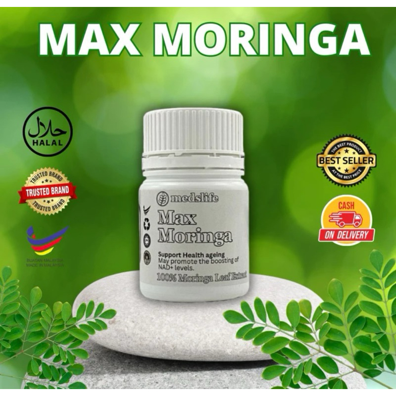MAX MORINGA ORIGINAL HQ [ SUPERFOOD LEAVES ] DND MORINGA / TEA MORINGA ...